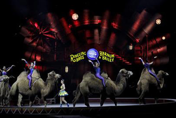 Nowhere left to run away to: The final days of the circus | New ...