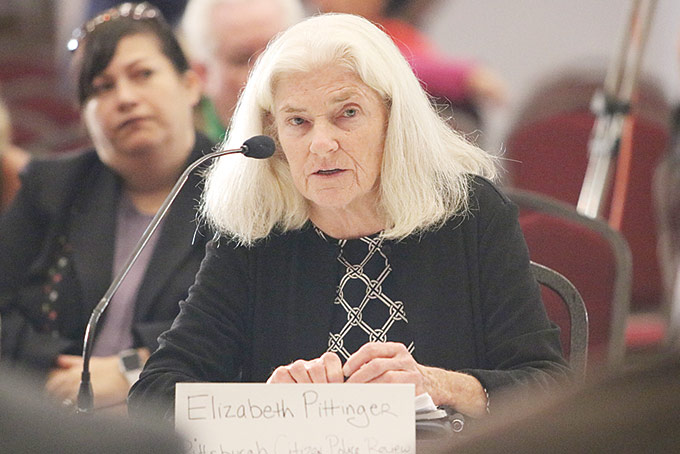 Can a countywide citizen’s police review board come to fruition? | New ...