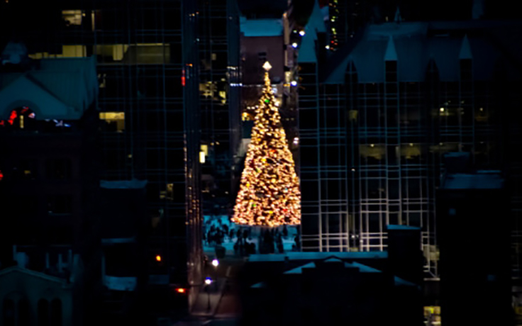 Light Up the Season: 5 ways to enjoy the holidays in PGH | New ...