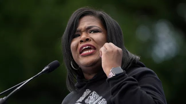 GOP lawmaker calls Cori Bush 'loud' & husband 'thug' amid DOJ ...
